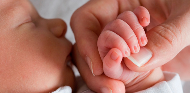 Human Life: Research on Abortion, Assisted Suicide, Bioethics