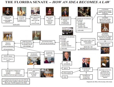 How a Bill Becomes a Law | Florida